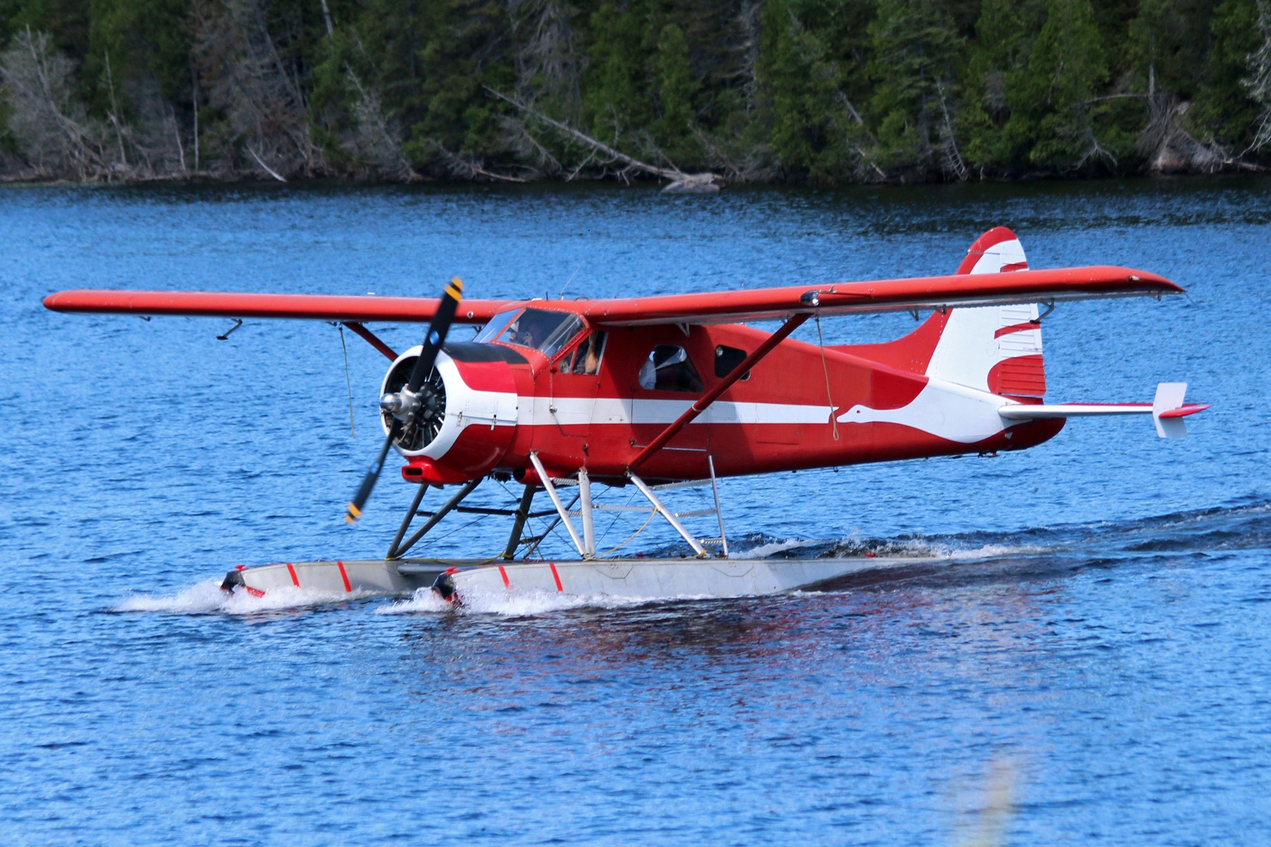 1955 DeHavilland Beaver DHC-2 for sale